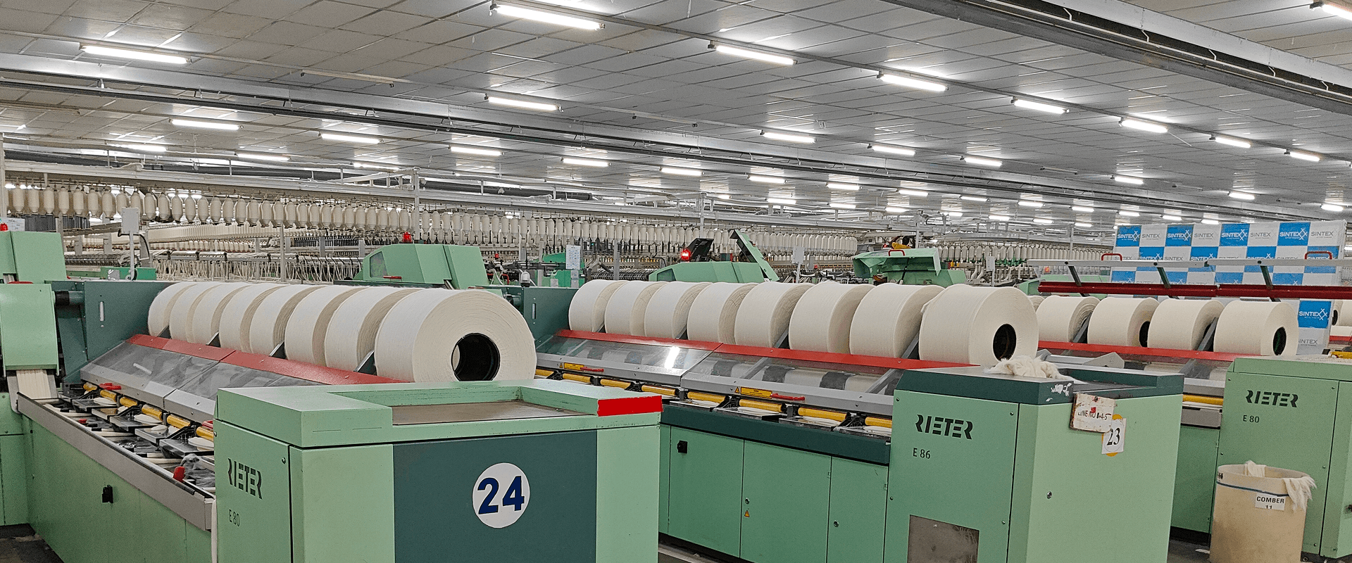 Who Are We? - Sintex Yarn
